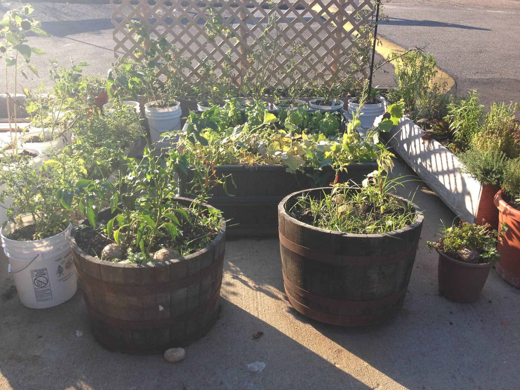 9 Easy Ideas for Disposing of Your Excess Dirt – Captain Patio