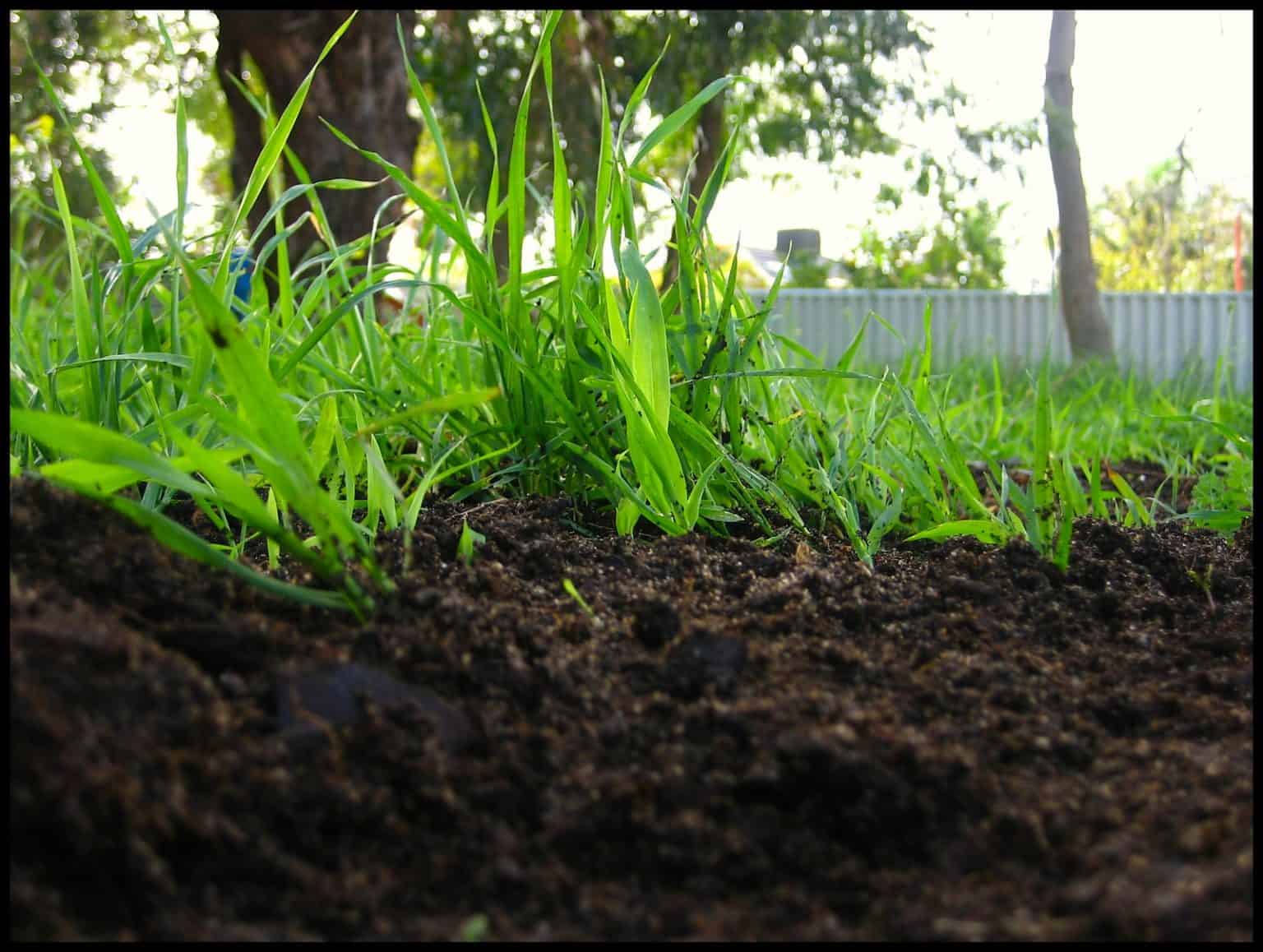 9 Easy Ideas for Disposing of Your Excess Dirt – Captain Patio