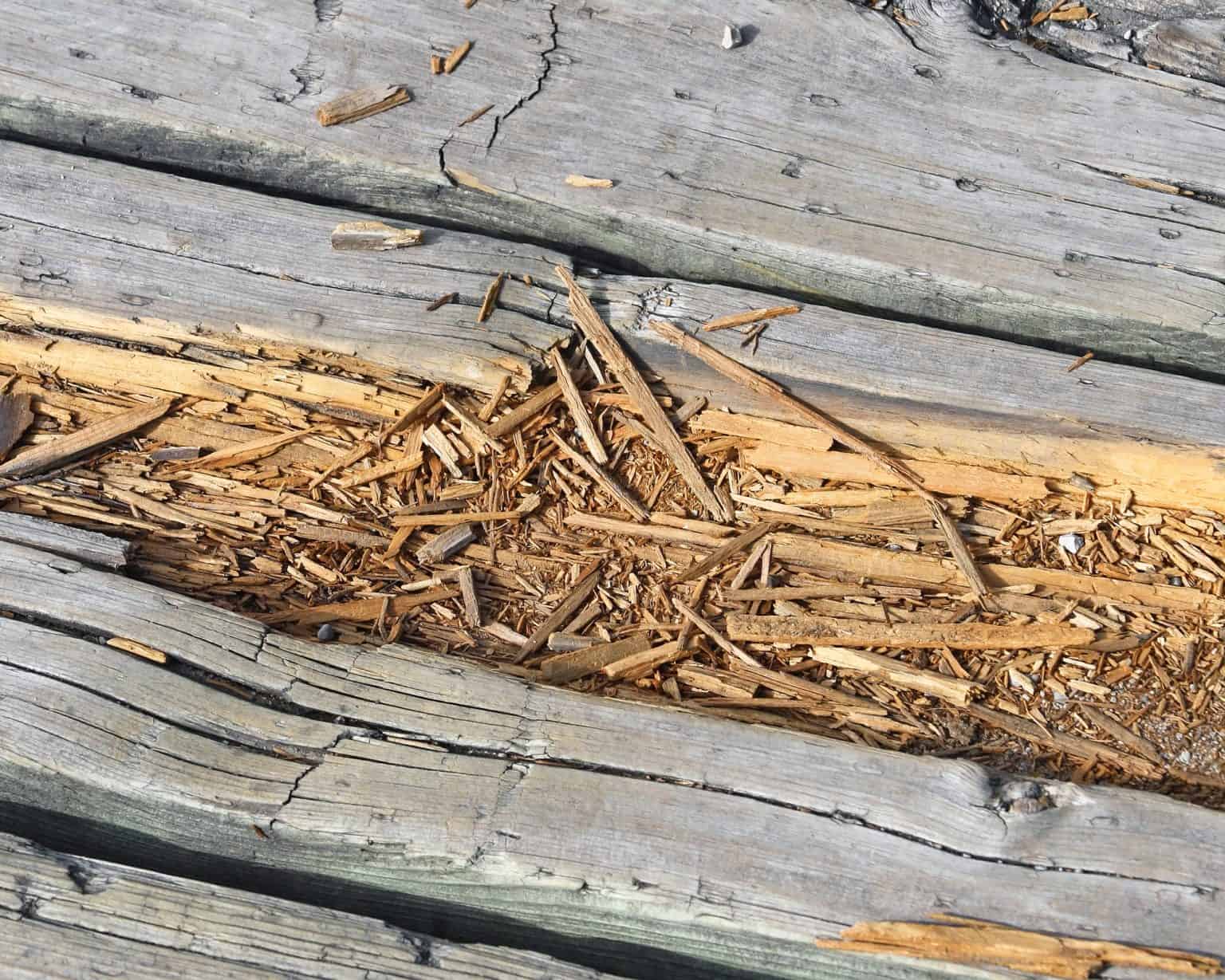 How to Remove Old Boards From Your Deck – Captain Patio