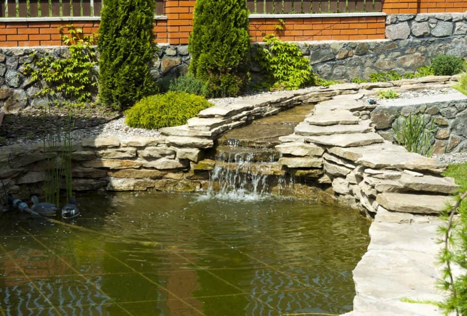 How to Make a Pond Look More Natural – Captain Patio