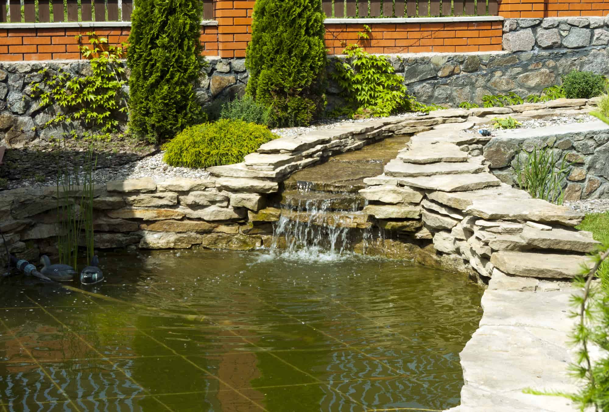 How to Make a Pond Look More Natural – Captain Patio