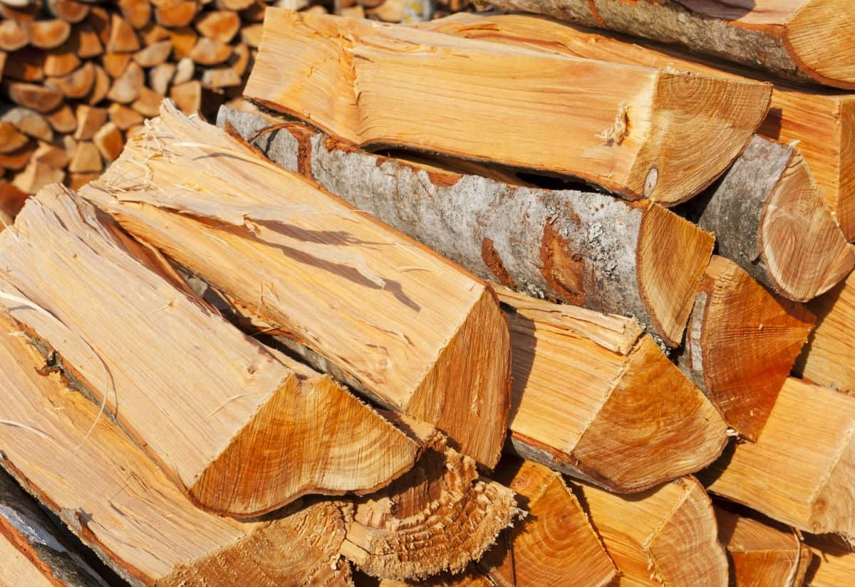How To Store Firewood To Avoid Termites – Captain Patio